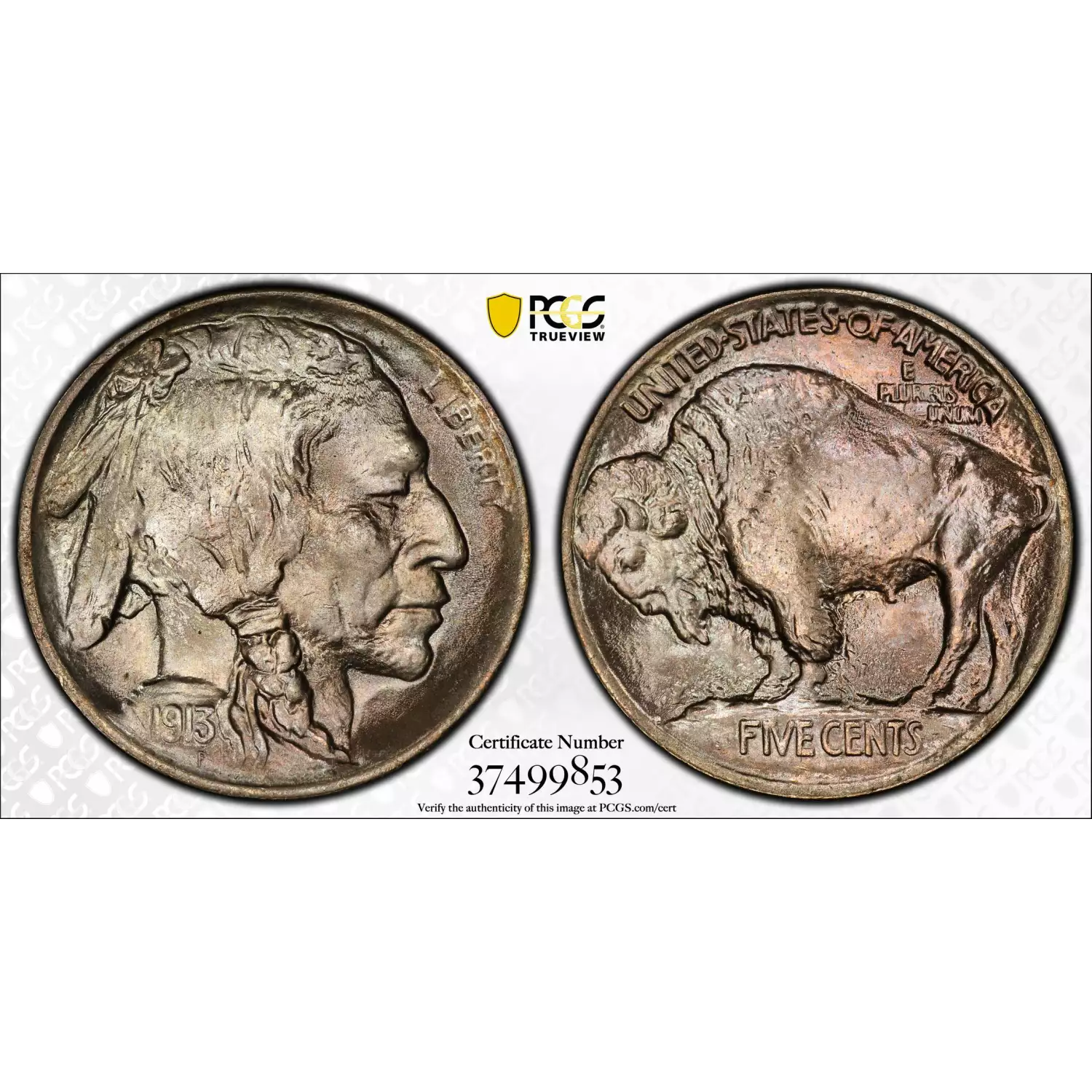 1913 Buffalo Nickel PCGS MS-67 Type 1 - Morton Grove Coin